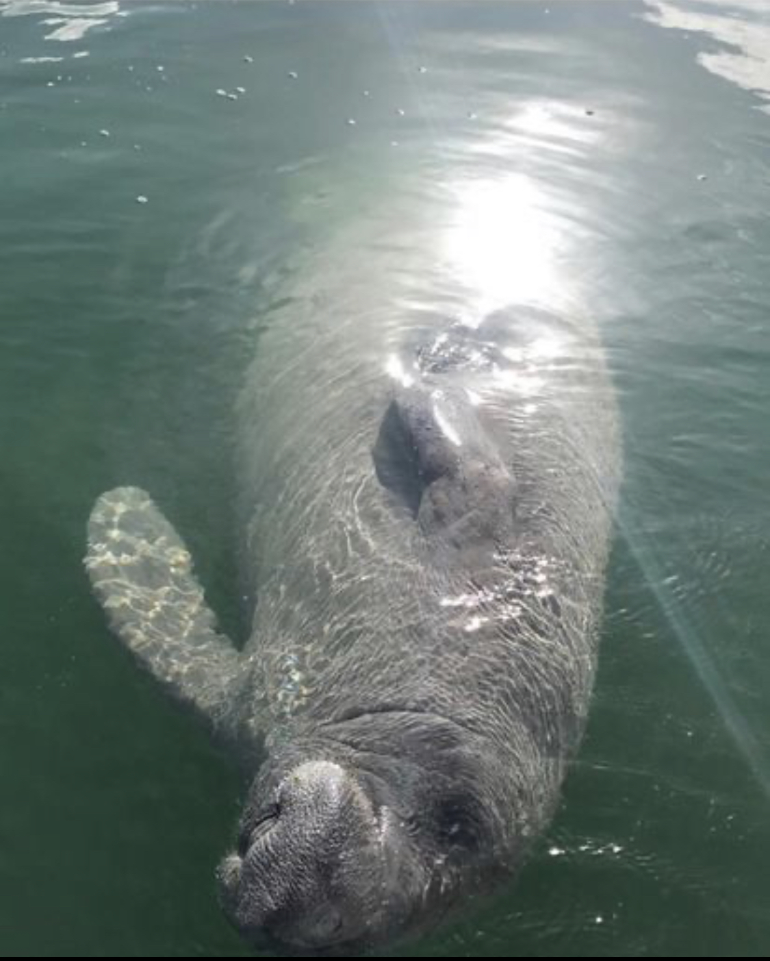 Gallery - Salty Bottom Boats