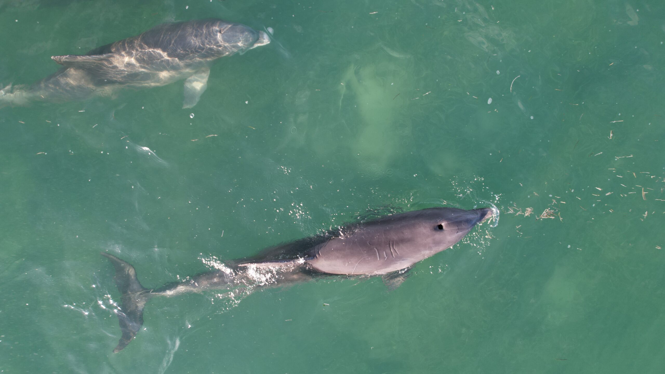 Gallery - Salty Bottom Boats